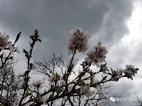探访吉林市梨花坞 吉林市梨花坞景点介绍 吉林梨花坞书院 大山谷图库