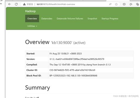 hadoop hdfs基本命令 hadoop启动hdfs命令 csdn博客