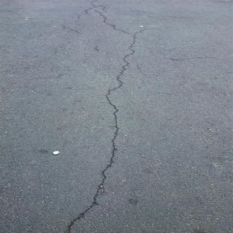 Pp Dataset And Pre Trained Model By Gggg