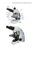 Microbiology Lab Exercise Compound Microscope Techniques Course Hero