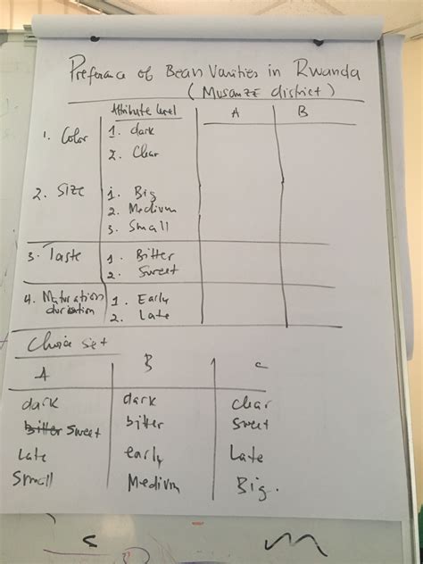2019 University Of Rwanda Multifactorial Survey Experiments In Development Research