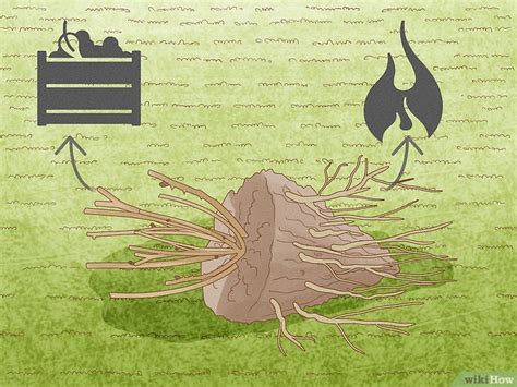 How To Clear Large Shrubs Without Damaging Their Roots