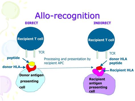PPT The Ubiquitous HLA System Applications In Transfusion And