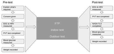 Sequence Of Activities Before And After The Test Download Scientific Diagram