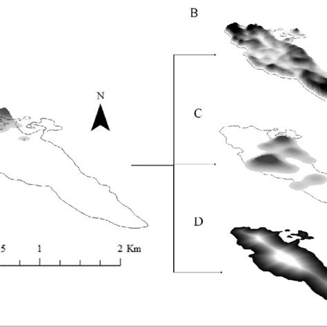 Calculation Of A Single Resource Utilization Function For A Female