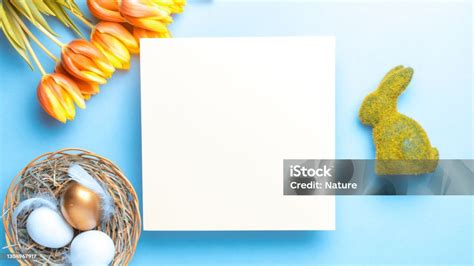 부활절 플랫 봄 튤립바구니에 황금색의 흰빛 달걀 해피 부활절 장식의 파스텔 블루 배경의 깃털 봄 휴가 탑 뷰 컨셉 개념에 대한 스톡 사진 및 기타 이미지 Istock