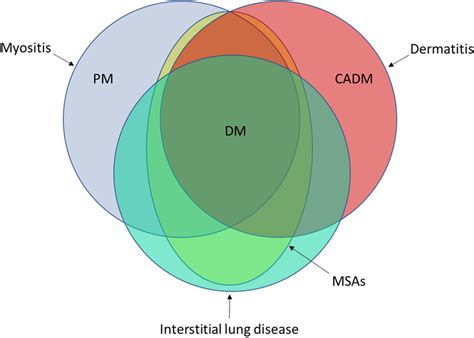 Non Proportional Venn Diagram Of Lung Muscle And Skin Involvement In