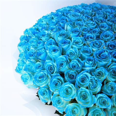 Exquisite Blue Roses Delivery In Doha Qatar Btf