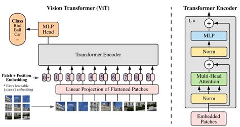 Tổng Quan Về Vision Transformer Vit Vinbigdata