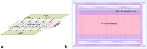 A Interleaved Structure Of The Sensor B Sensor Layout For The Download Scientific Diagram