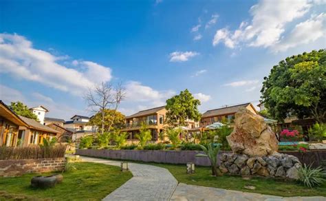 崇左这3个村获自治区50万元奖励！自治区崇左市乡村振兴新浪新闻