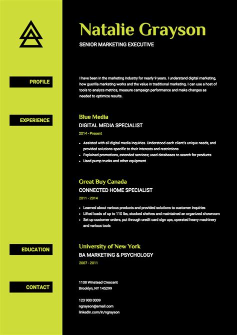 20 Infographic Resume Examples Templates And Design Tips