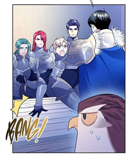 Pin Oleh Melissa Pelusi Di Cavier Falcon Princess