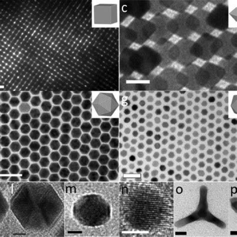 Schematic Representation Of Electrostatic And Steric Stabilization Of