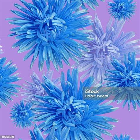 애 스 터 일러스트 꽃의 질감 연속 복제를 위한 원활한 패턴 꽃 배경 섬유 면 직물의 생산을위한 사진 콜라주 벽지에 사용하기 위해 커버 0명에 대한 스톡 사진 및 기타