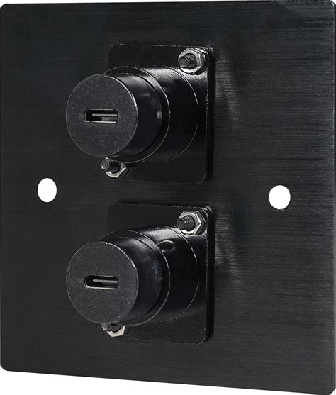 Eagle 2 X Usb C Sockets Feedthrough Wall Plate F267vt