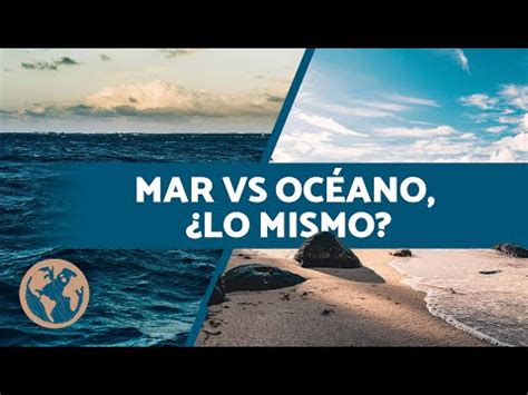 Aguas Oceánicas Qué Son Tipos Características Distribución Y Dinámica Resumen