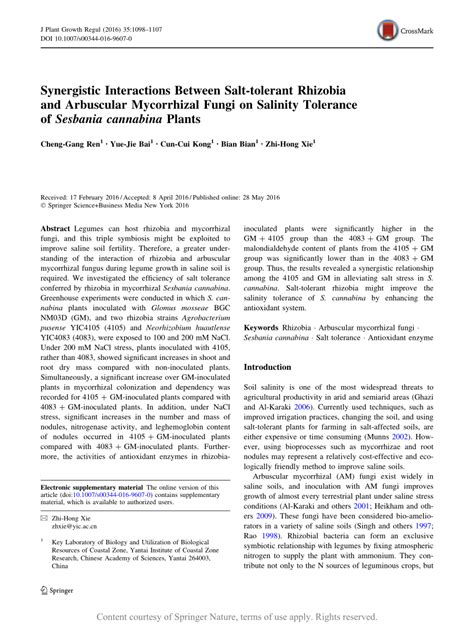 Synergistic Interactions Between Salt Tolerant Rhizobia And Arbuscular Mycorrhizal Fungi On