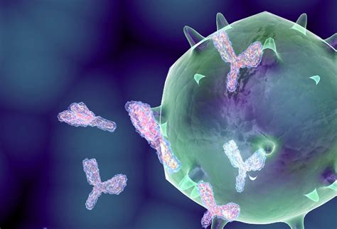 Mol Can 表观遗传重编程增强cd8 T细胞功能，并改善对免疫治疗的临床反应 知乎