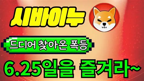 시바이누 코인 드디어 찾아온 폭등의 기회 625일을 즐겨라~ 시바이누전망 도지코인 비트코인 이더리움 코인전망 Youtube