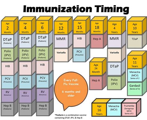 Pediatric Immunization Schedule 2025 Sue Dickens