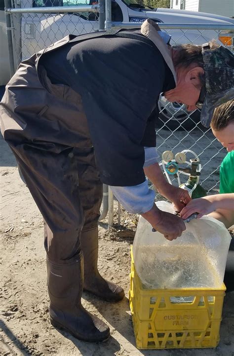 Triploid Grass Carp Farm Central Florida · Lake And Pond Remediation