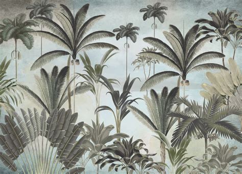 Palm Tree Garden Tropical Vintage Wallpaper Palm Tree Illustration Wall