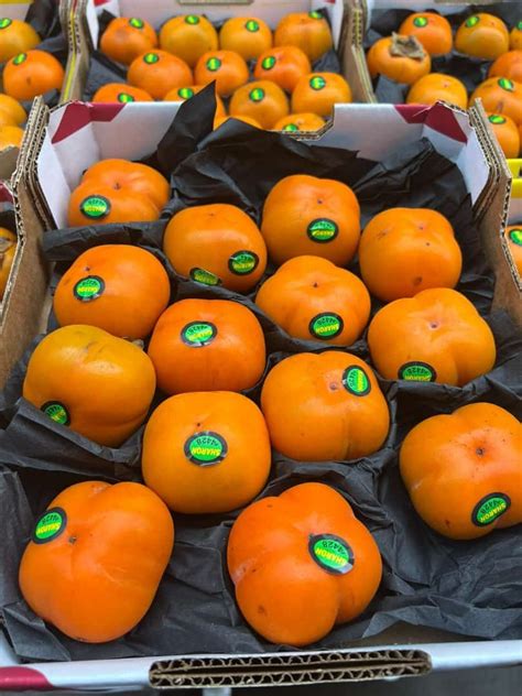 Поставщик овощей и фруктов в рестораны бары и столовые Москва ПЕРВЫЙ ФРУКТОВЫЙ