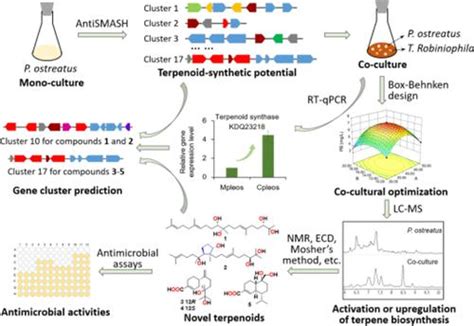 通过基因组挖掘和共培养优化从担子菌平菇中发现新型萜类化合物 Journal Of Agricultural And Food Chemistry X Mol