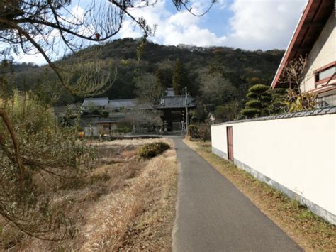 Wander 操山