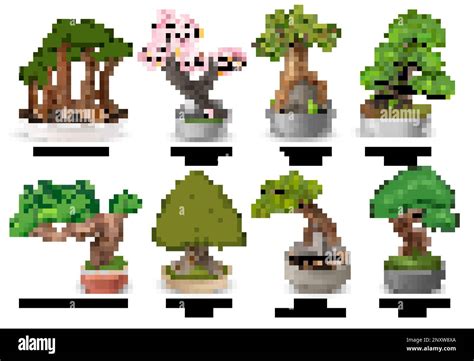 realistic japanese bonsai trees in flowerpots icons set isolated vector
