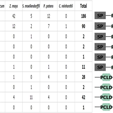 Graphical Representation Of 10 Types Of Pcs And Their Comparative