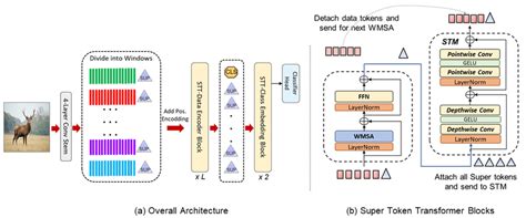 A The Overall Architecture Of The Super Token Transformer Stt The Download Scientific