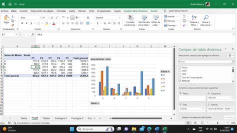 Excel According To Your Needs With Formulas Graphs And Pivot Tables By Barbosaanahi Fiverr