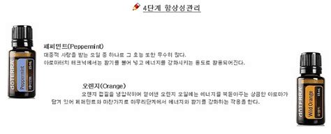 아로마터치 8단계 기법 4단계 자율신경 균형 진천아로마테라피전문 라온뷰티 담열이어캔들궁테라피 베럴왁싱 네이버 블로그