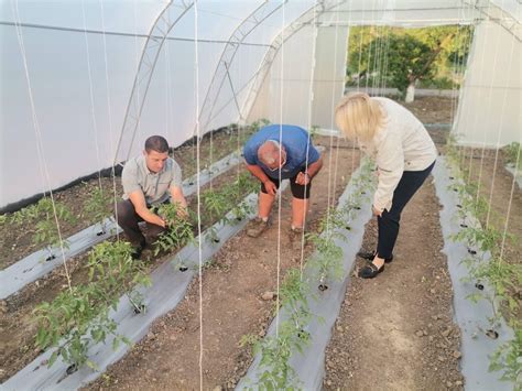 Преобразена е зеленчуковата градина на Община Добричка Agrodobrich