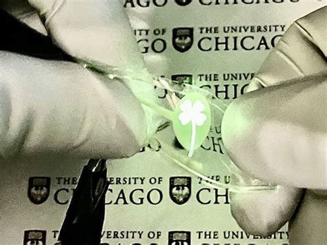 Researchers Develop “an Entirely New Display Technology ” Offering Soft Stretchable Oled Panels