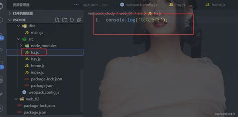 webpack和vite简单使用 webpack和vite的使用 csdn博客