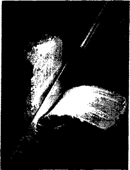 Figure 1 1 From Phase Field Simulation Of Solidification With Moving