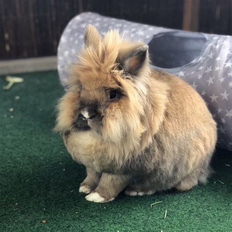 Stream Isabel Ebert Music Listen To Songs Albums Playlists For Free