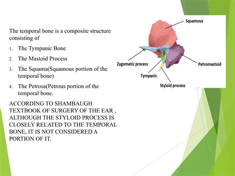 Anatomy Of Temporal Bone And Its Surgical Importance Ppt