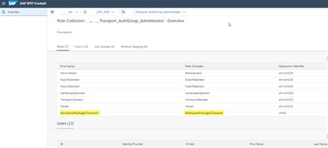 Setup SAP BTP Cloud Transport Management Service C SAP Community
