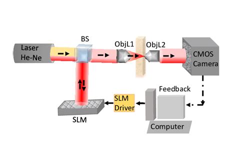 Optical Setup Of Controlling An Slm For Focusing Light Through