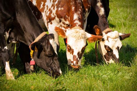 Fillette Retrouvée Père Interpellé Deux Autres Gardes à Vue Ce Que L