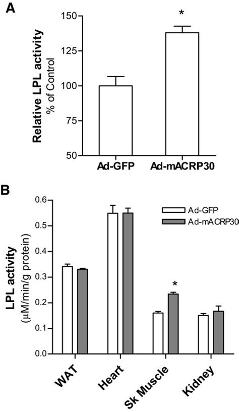 Adiponectin Increases Postheparin Lpl Activity In Mice A Postheparin