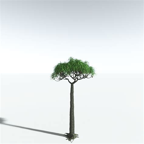 Everyplant Lepidodendron Aculeatum