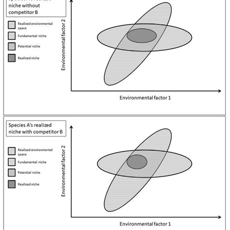 A Species Realized Niche Without And With The Presence Of A