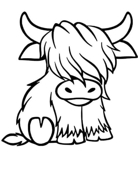 How To Draw Highland Cow