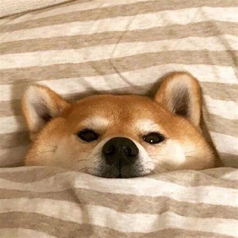 我是一个v创作者主页绍兴学生 站酷zcool