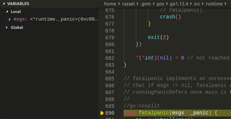 debugger local variables frozen after go panic · issue 2444 · microsoft vscode go · github